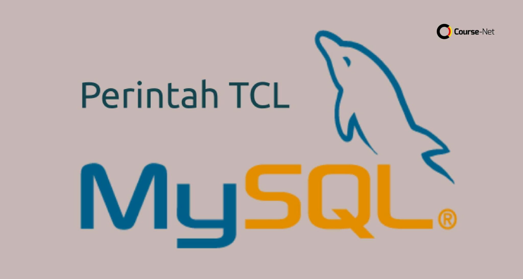 Apa itu TCL? Perintah Transaction Control Language dan Fungsinya?