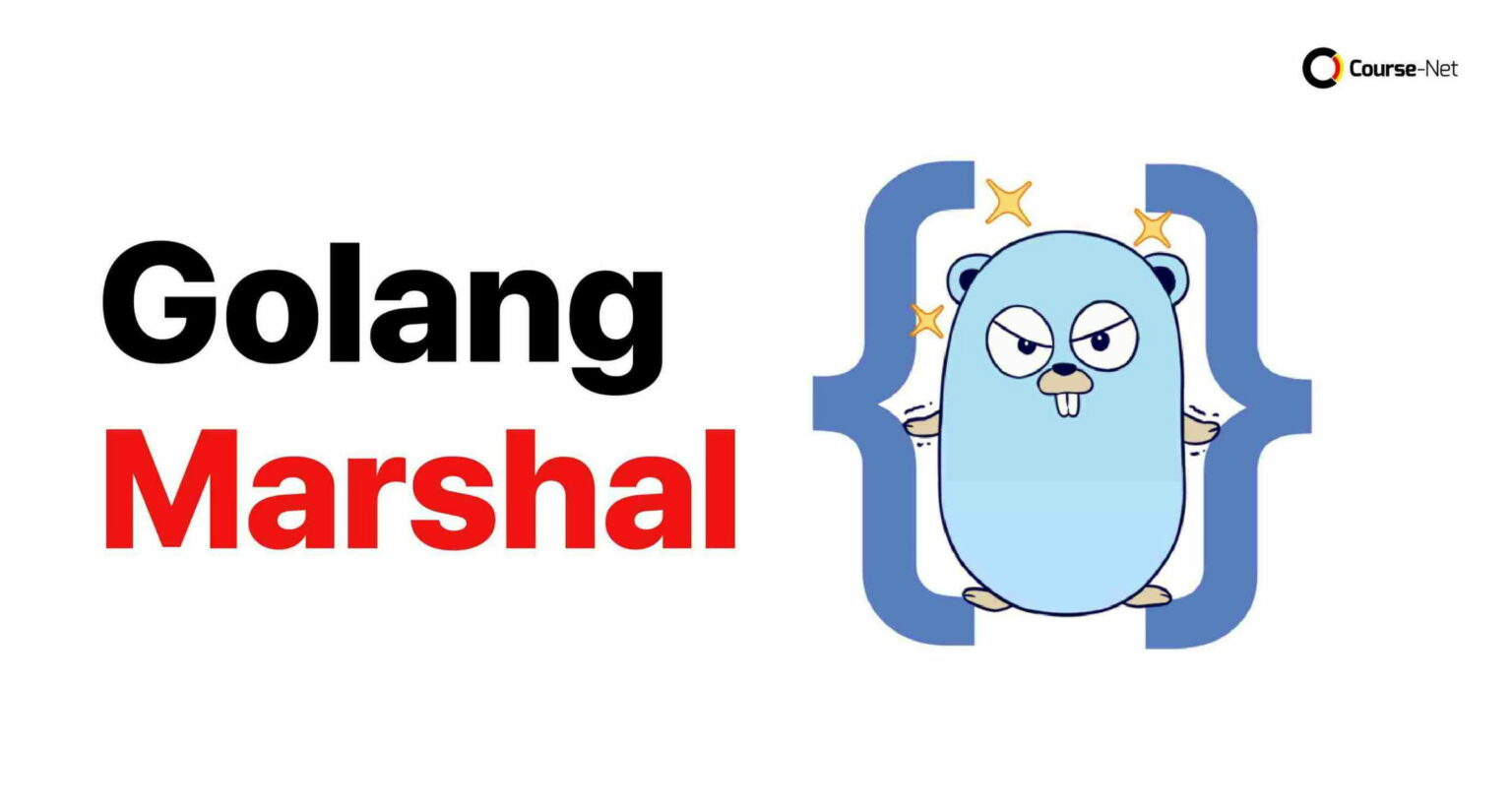Apa itu JSON Marshal dan UnMarshal pada Golang