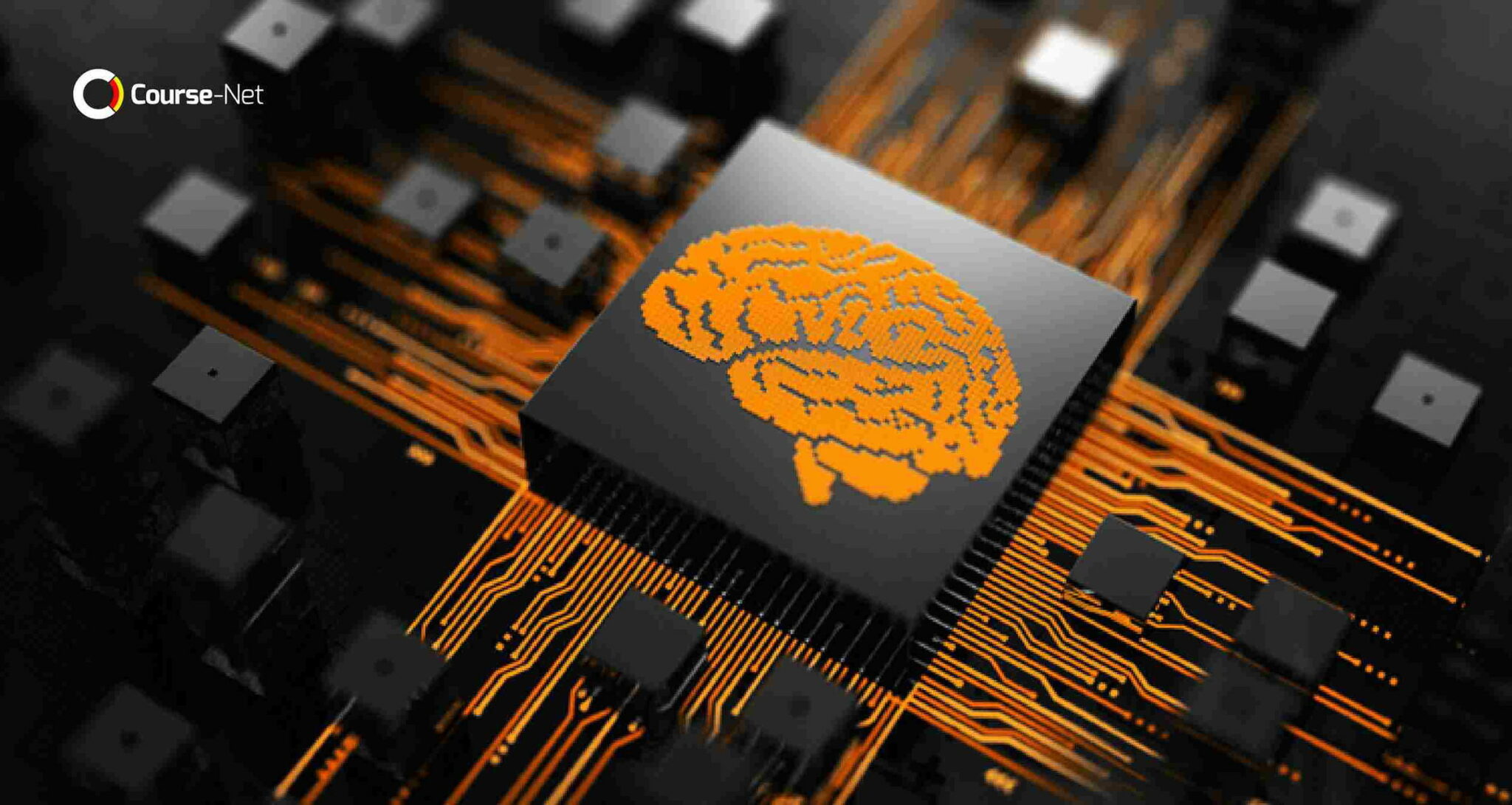 Human Interface Guidelines: Panduan Desain UI/UX Website