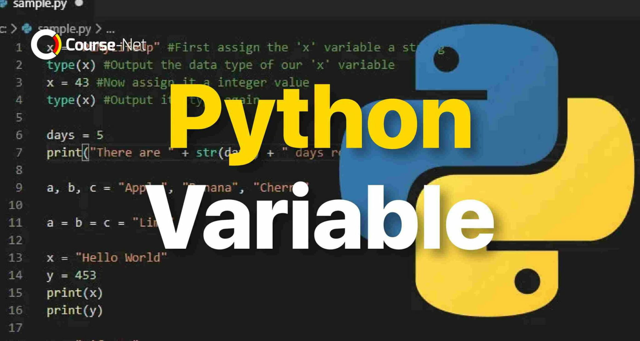 Belajar Python: Pengenalan Python Variable dalam Pemrograman