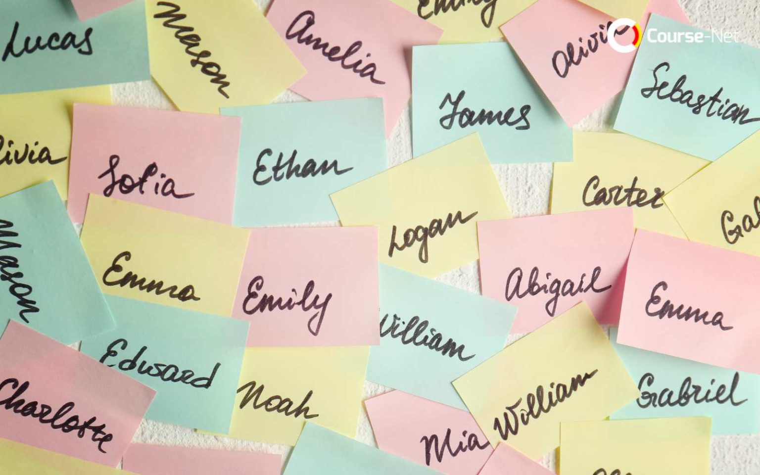 Contoh Data Nominal: Definisi, Ciri, dan Cara Olah